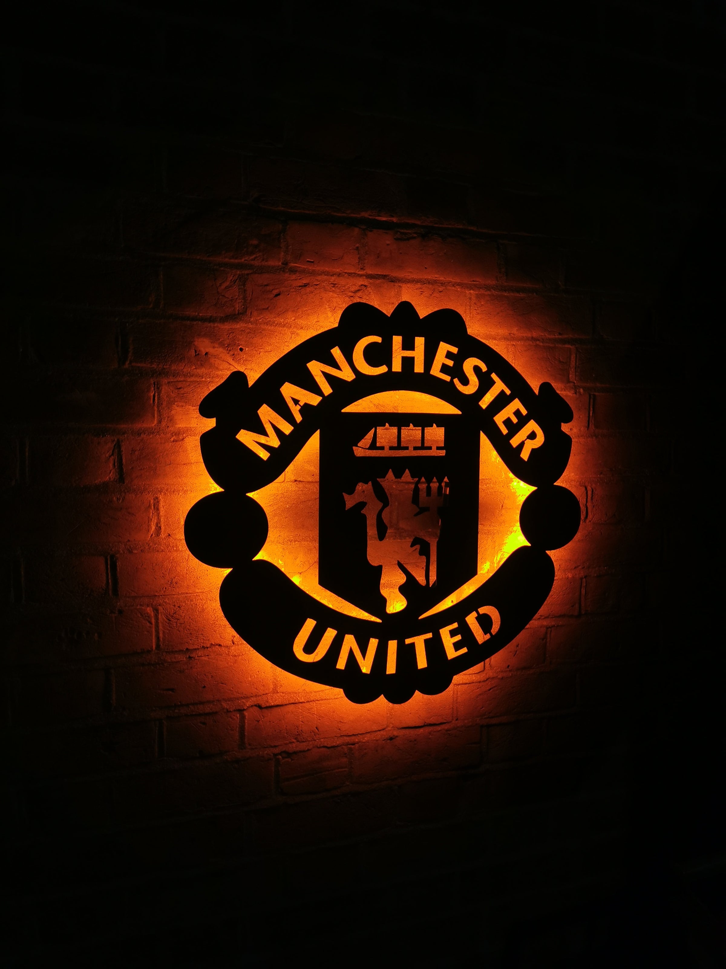 Manchester United Football Club Logo Manchester United Logo